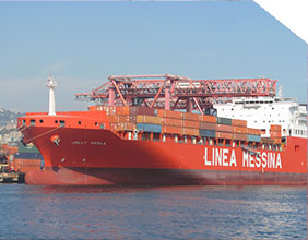 Master Terminal users: Testimonials and stories of success